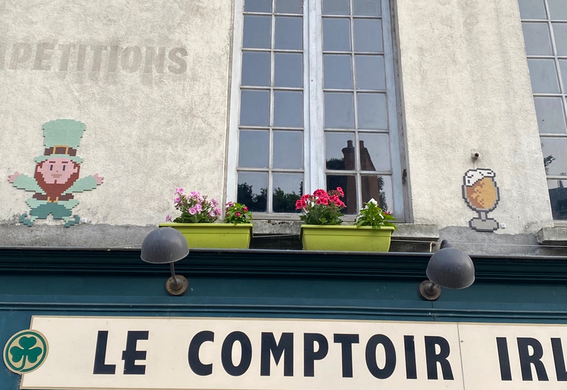 Tag Lady, une artiste qui égaie des murs de Blois